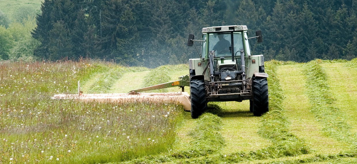 Drying hay successfully | FrigorTec